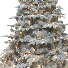 Newbank Garden Centre