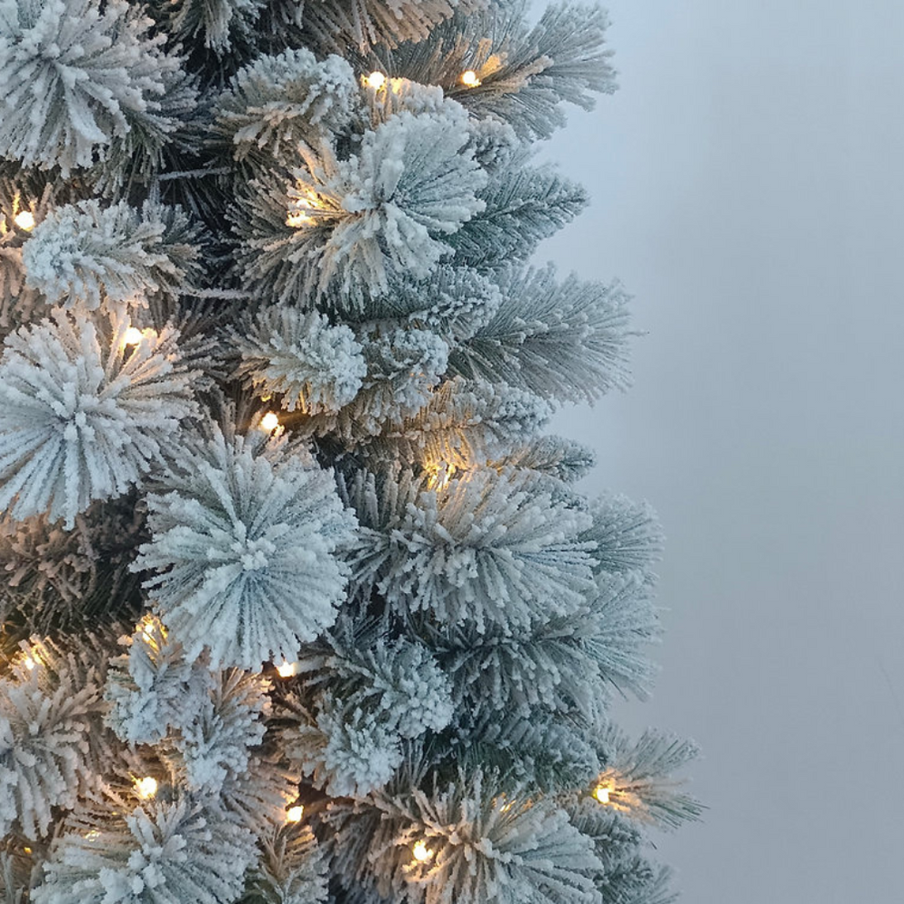 BOSK Frosted Arden Pine Prelit Christmas Tree | Newbank Garden Centre