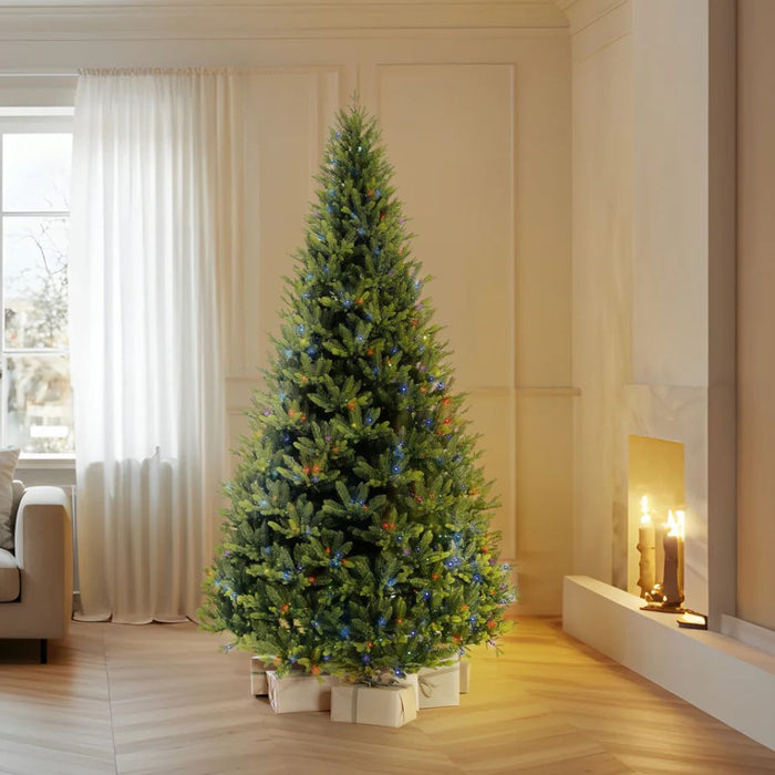 Bosk Montpellier Fir 10ft — Newbank Garden Centre